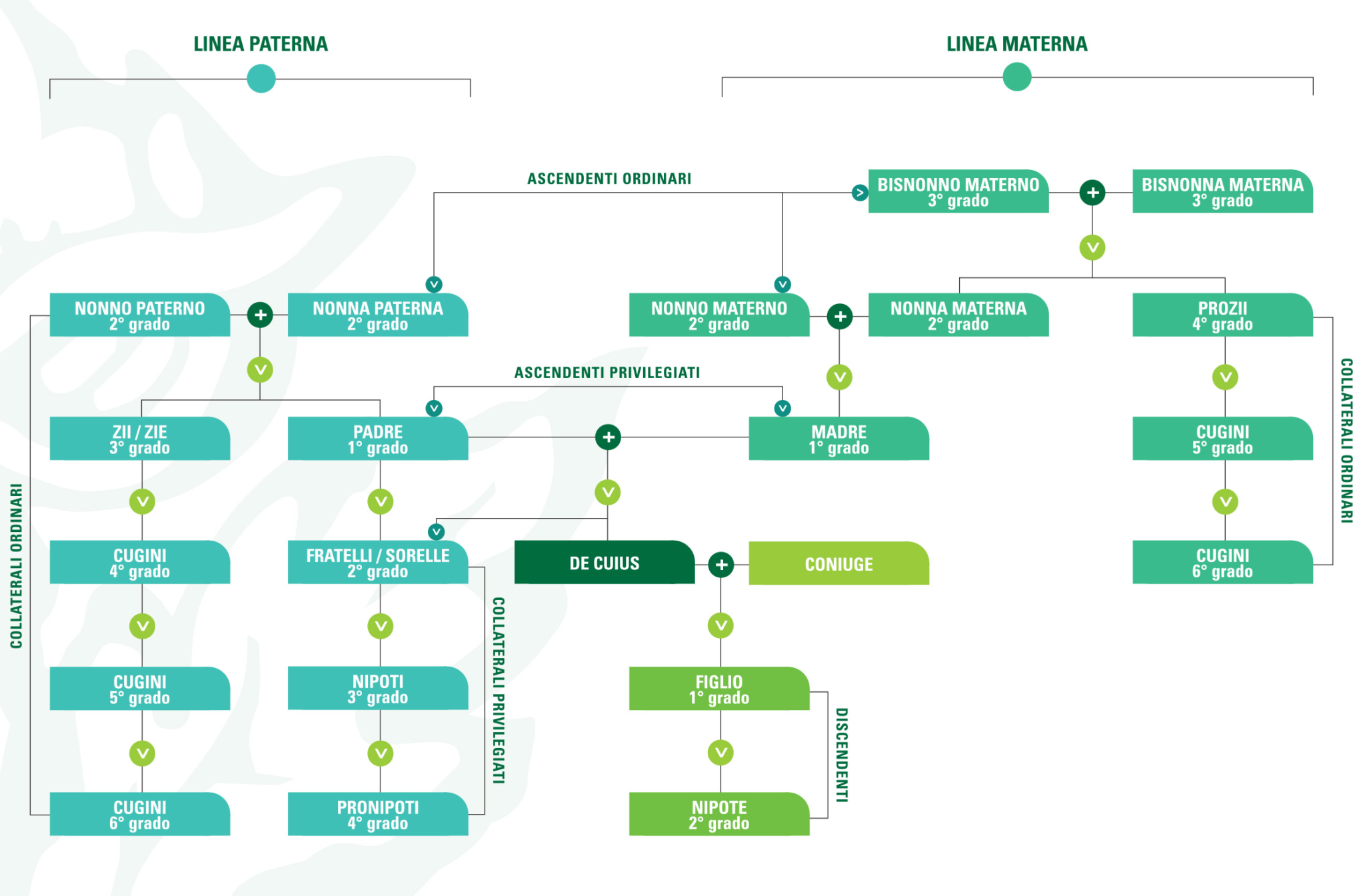 Ricerca eredi come fare - ricerca genealogica eredi legittimi - Coutot ...